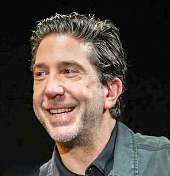 David Schwimmer's New Romance: Hand-in-Hand Date with Eliana Jolkovsky ...
