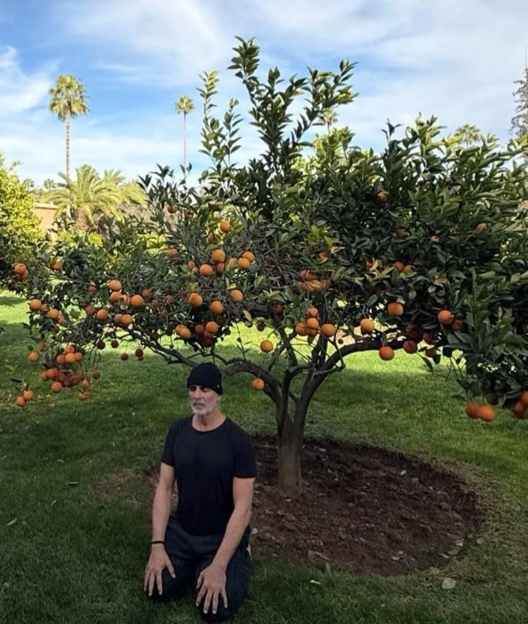 Akshay Kumar Reflects on Growth Under Orange Tree, Teases 2026 Goals ...